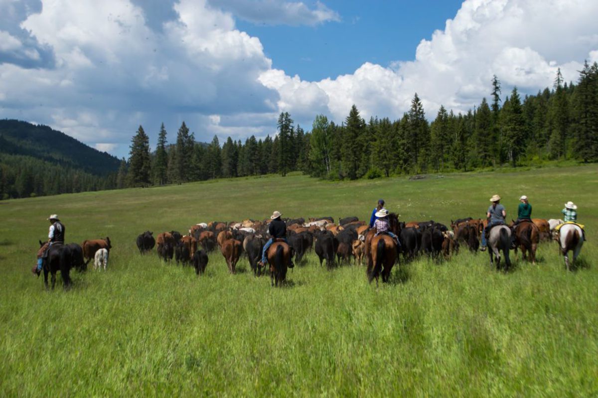 Bull Hill Guest Ranch ~ a Concise Overview | DudeRanchVacations.com