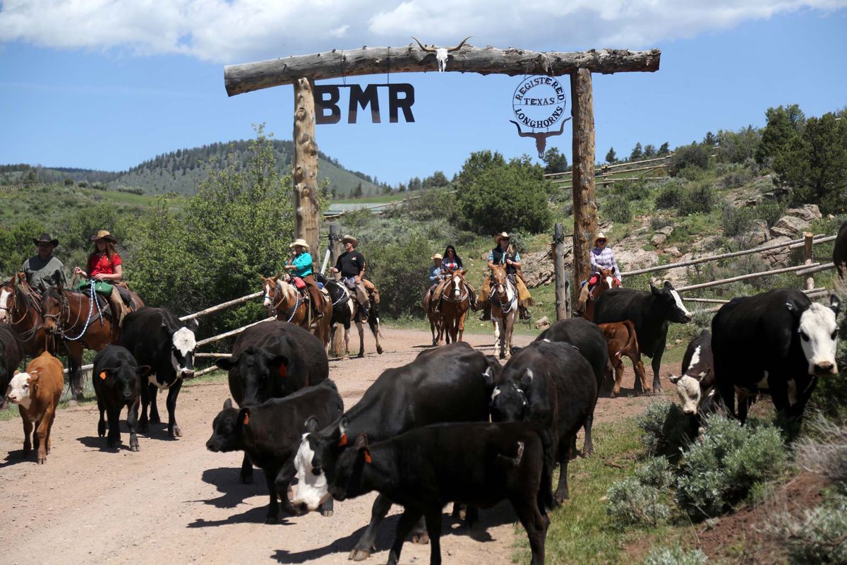 Black Mountain Ranch ~ a Concise Overview | DudeRanchVacations.com