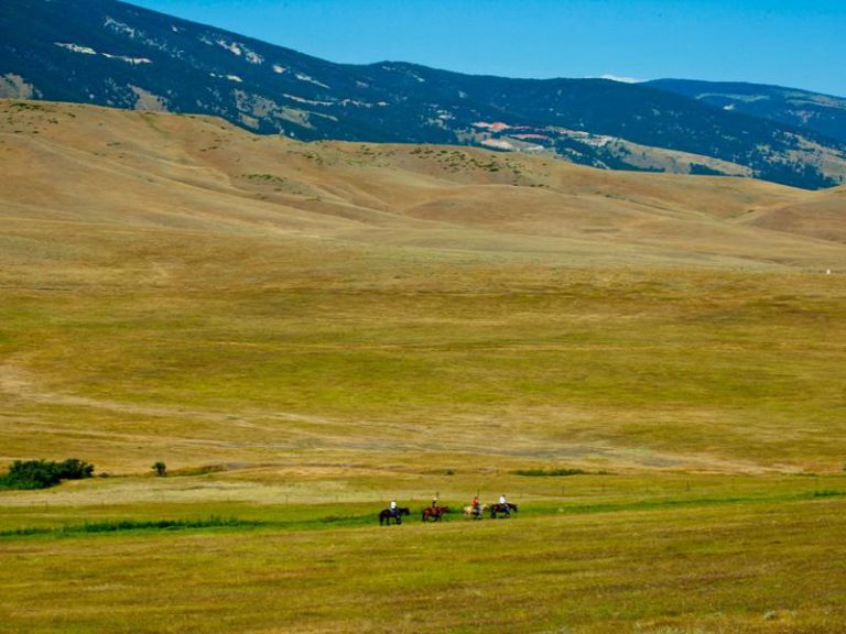 Dude Ranch Vacations ~ A curated guide