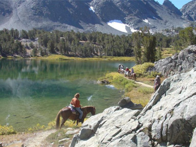 Dude Ranch Vacations ~ A curated guide