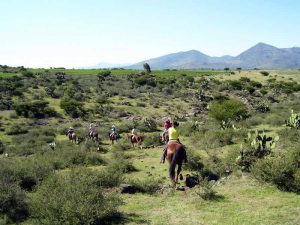 Dude Ranch Vacations ~ A curated guide