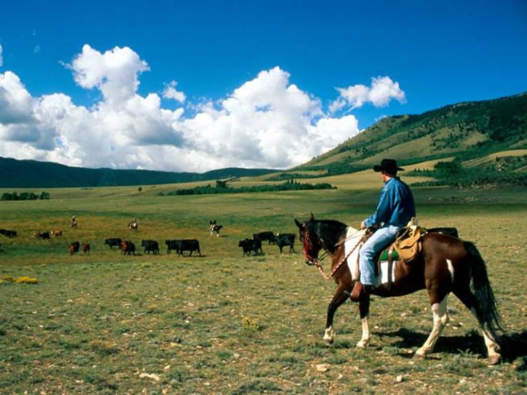Dude Ranch Vacations with Adult Only Weeks | a Curated List