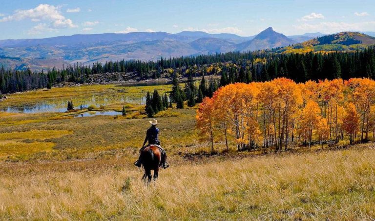 Dude Ranch Vacations ~ A curated guide