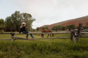 Dude Ranch Vacations ~ A curated guide
